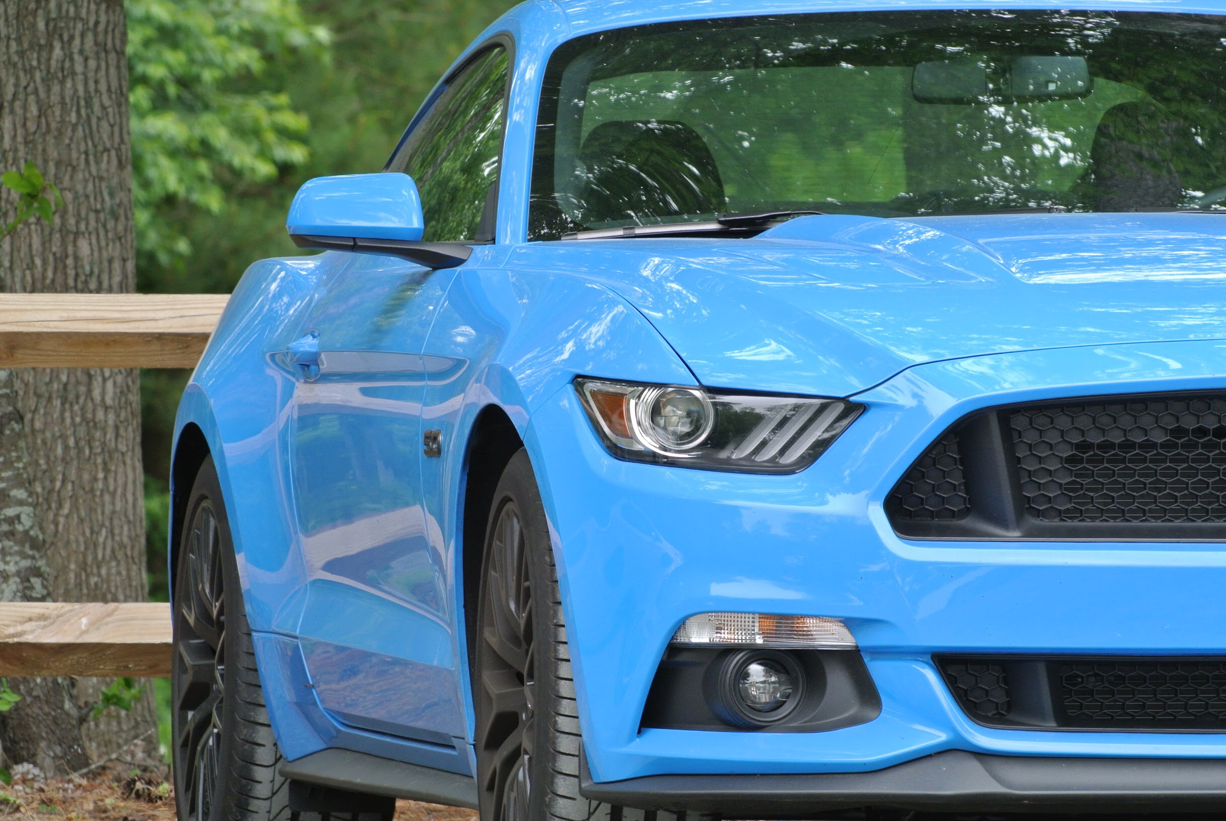 Ford Special Vehicle Registry